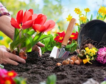 70 PDF/HTML Python Programming Books Master (Instant Download) - Etsy