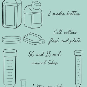 12 Relaxed Cell Culture Lineart Clipart - Etsy