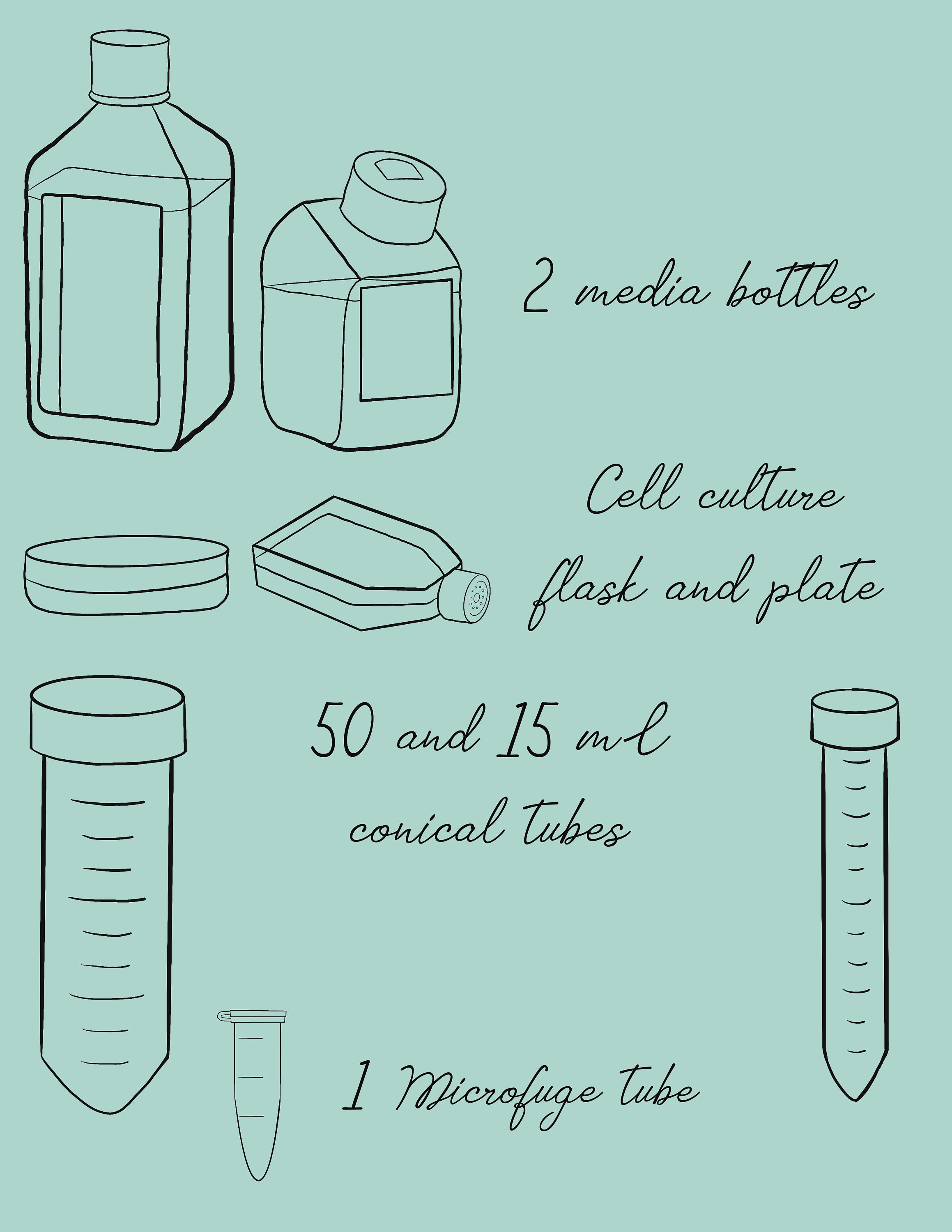 12 Relaxed Cell Culture Lineart Clipart - Etsy