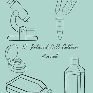 12 Relaxed Cell Culture Lineart Clipart - Etsy