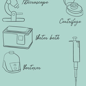 12 Relaxed Cell Culture Lineart Clipart - Etsy