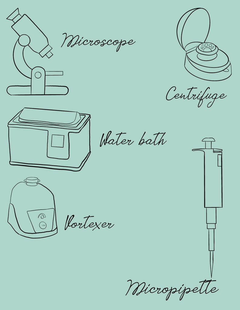 12 Relaxed Cell Culture Lineart Clipart - Etsy