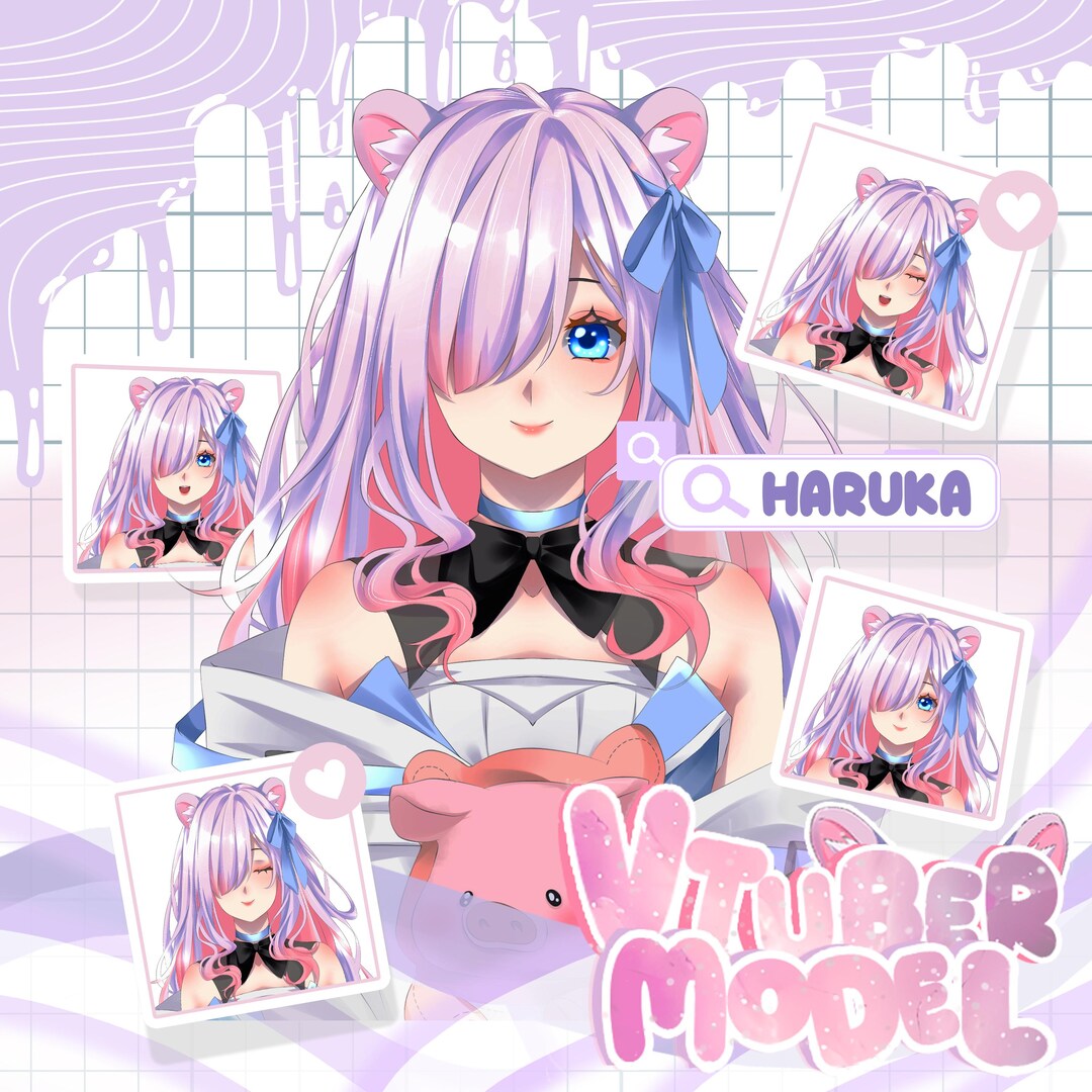 Custom Vtuber Model for Commercial Use Live2d Vtuber Anime Character ...