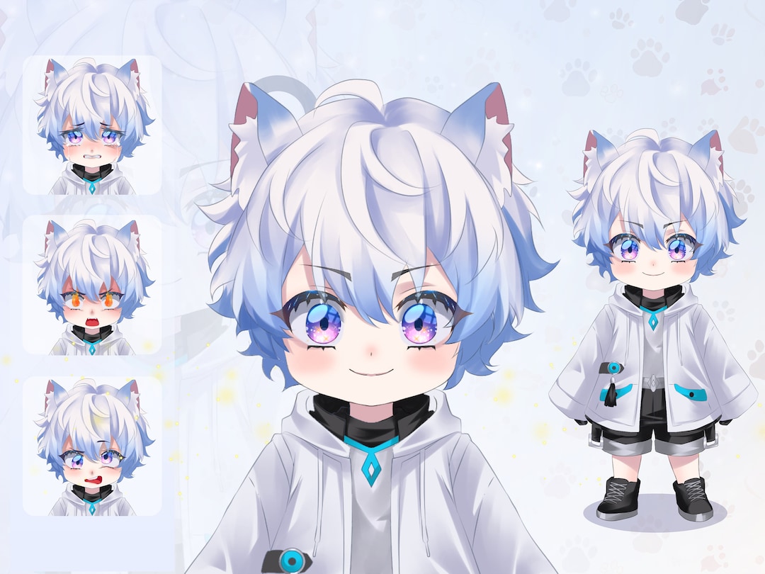 Modelo Vtuber personalizado / Comisión Chibi Vtuber / Rigging ...