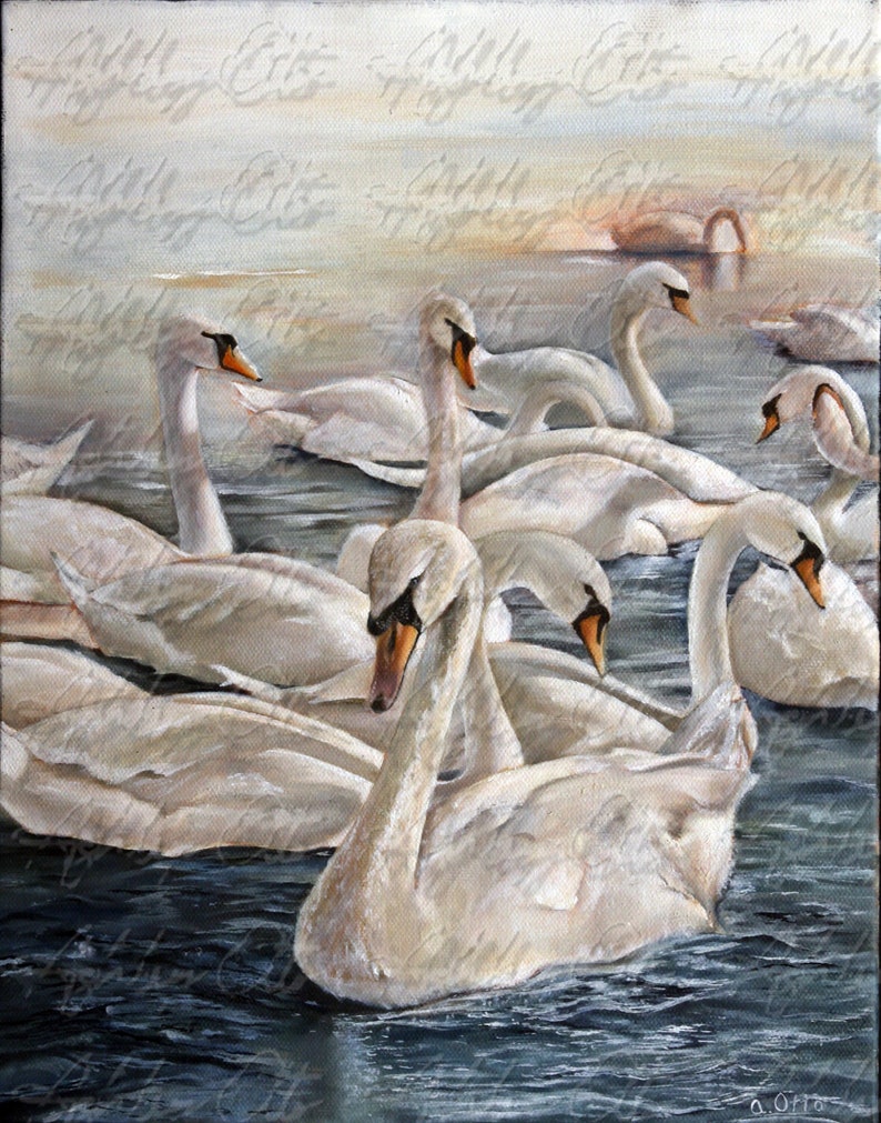 Giclee Print Oil Painting of Swans - Etsy