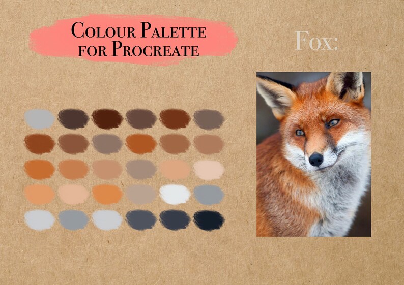 Colour Palette for Procreate Fox - Etsy