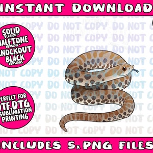 Anatomy of a Hognose Snake Funny Pet Reptile Animal Lover Png Bundle ...