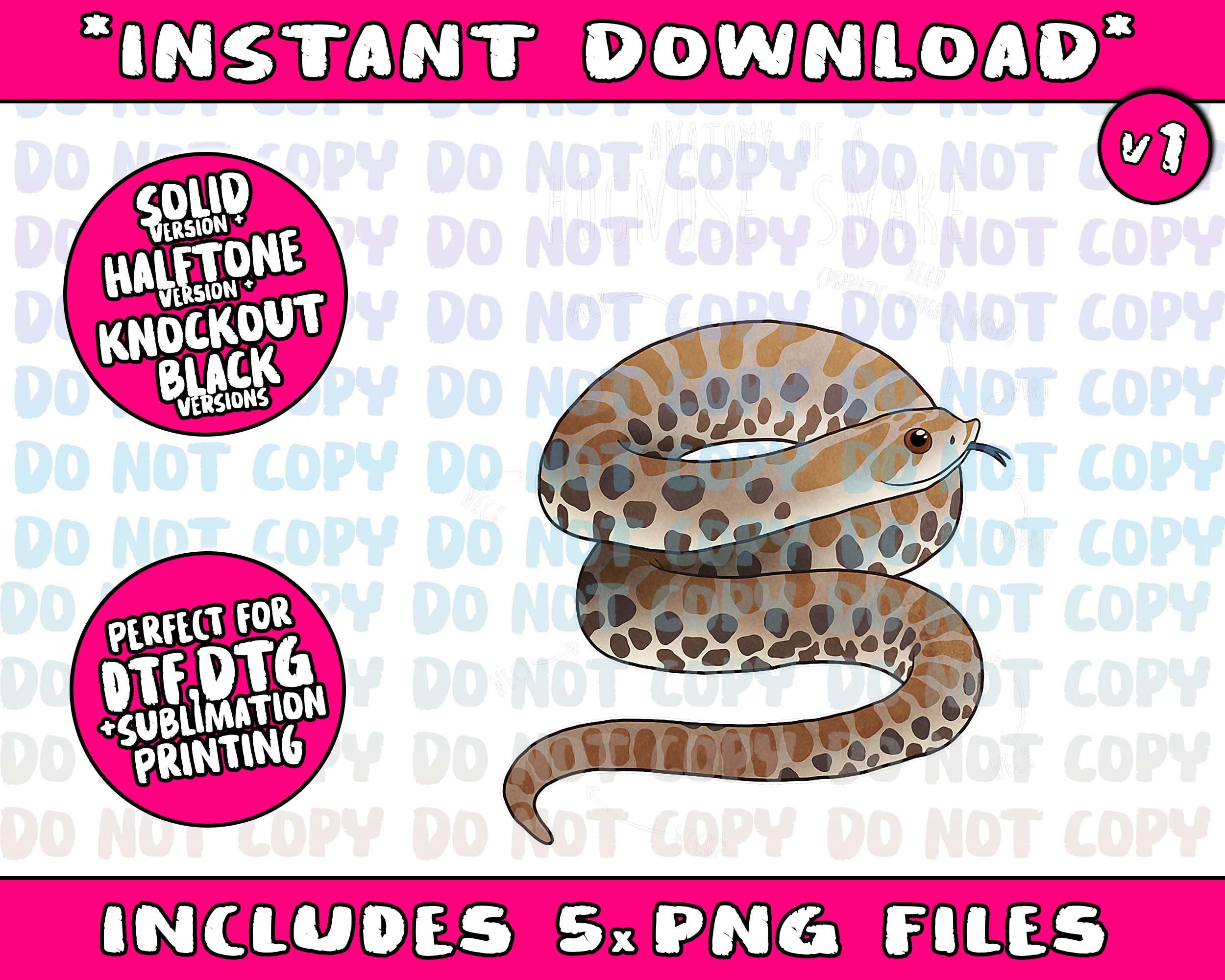 Anatomy of a Hognose Snake Funny Pet Reptile Animal Lover Png - Etsy
