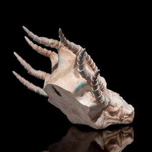 Blue Dragon Skull Carcass Wall Mount Decor for Home Decoration - Etsy