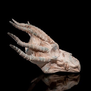 Blue Dragon Skull Carcass Wall Mount Decor for Home Decoration - Etsy