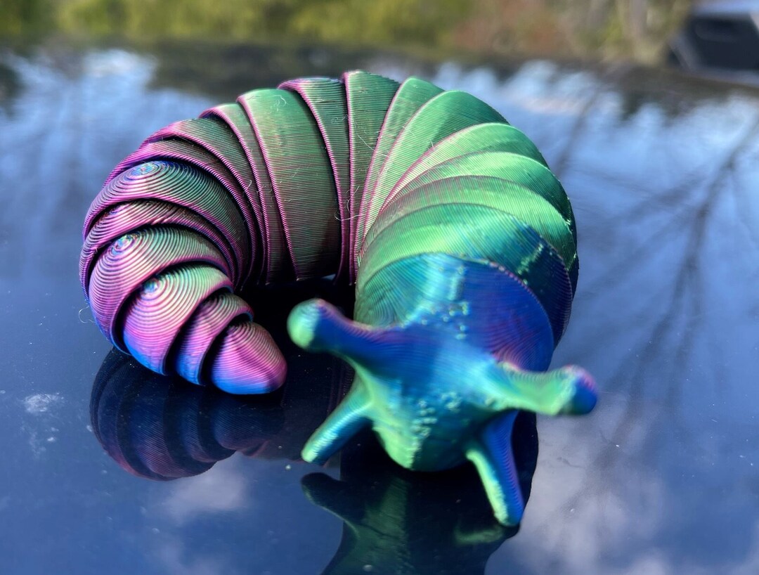 Large Slug Fidget Toy - 3D Printed Rainbow - Etsy