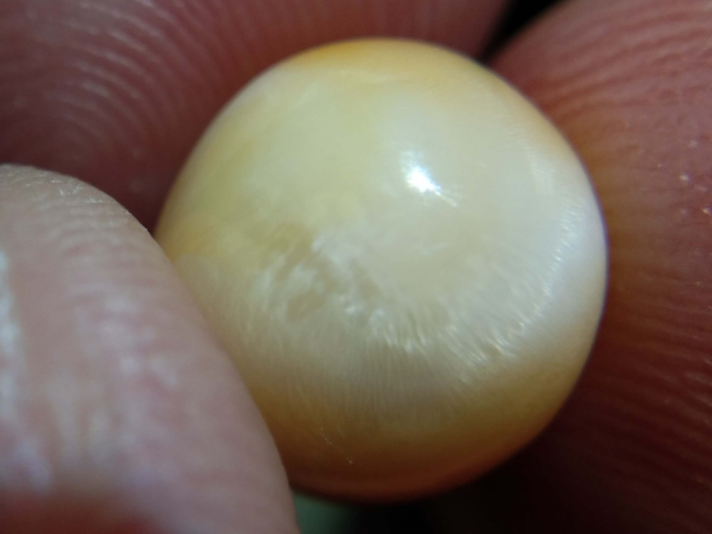 6.0ct Natural Conch Pearl With Flame Structure - Etsy