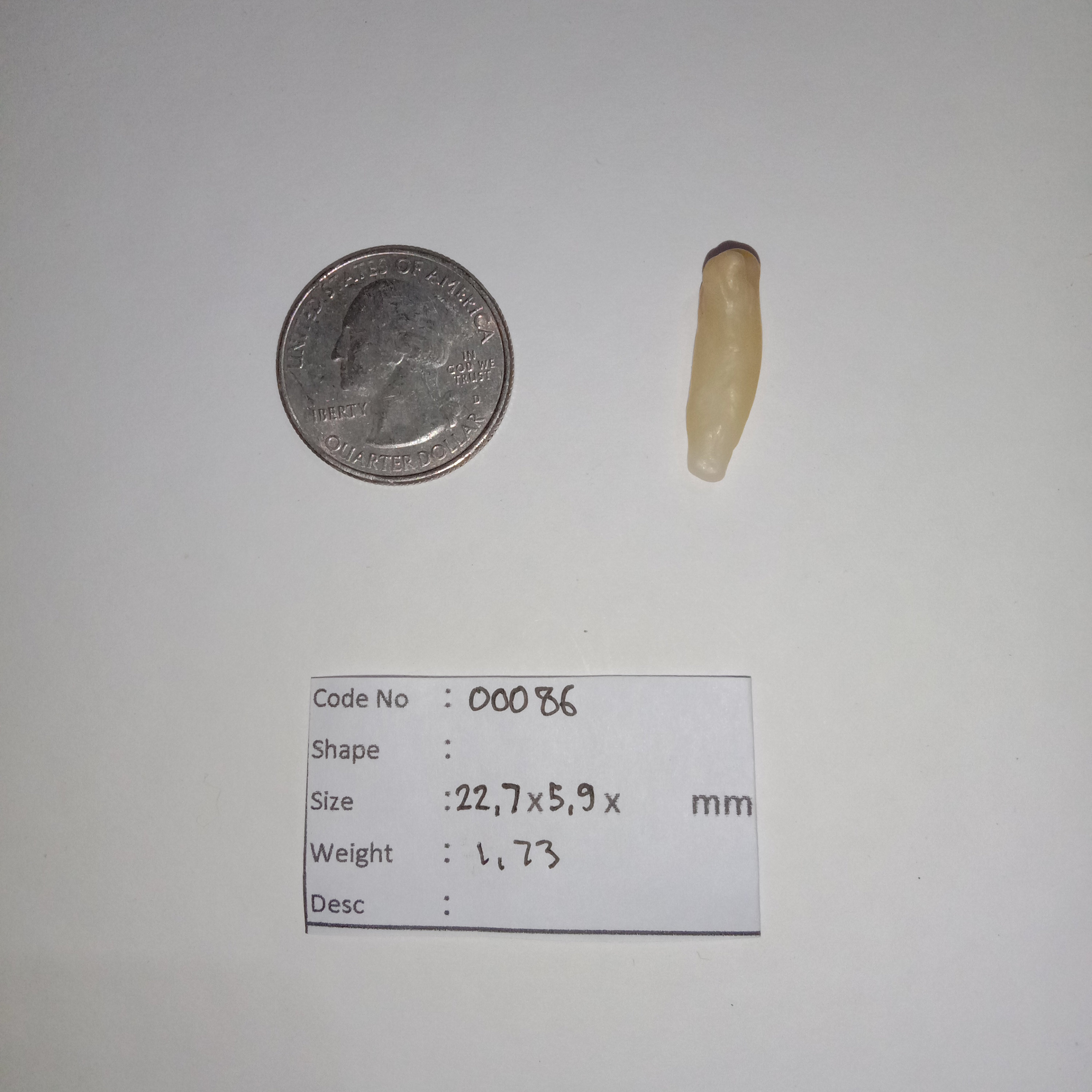 8.65ct Natural Blistered Tridacna White Clam Pearl Irregular - Etsy