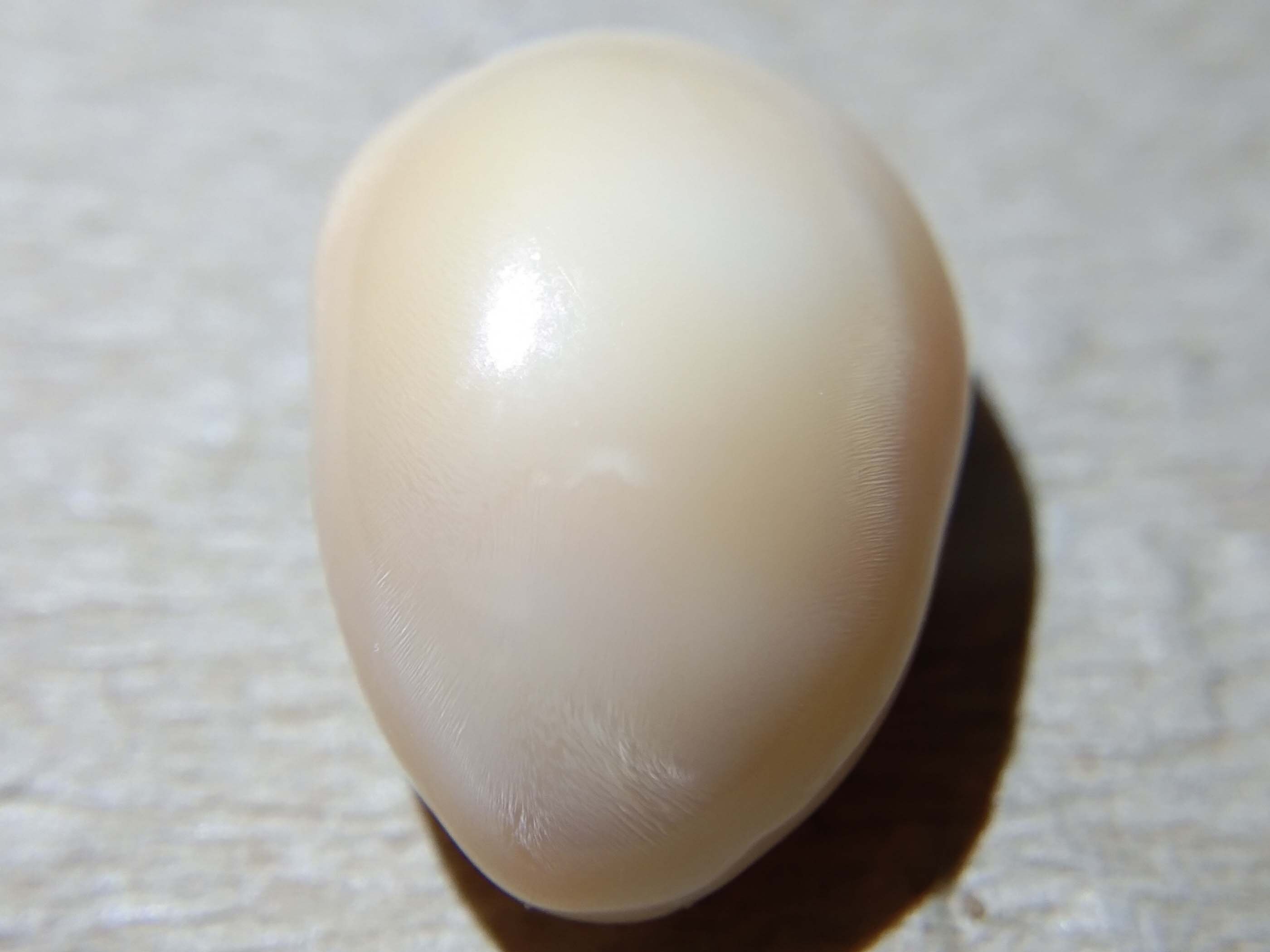 12.6ct Natural Conch Pearl With Flame Structure - Etsy