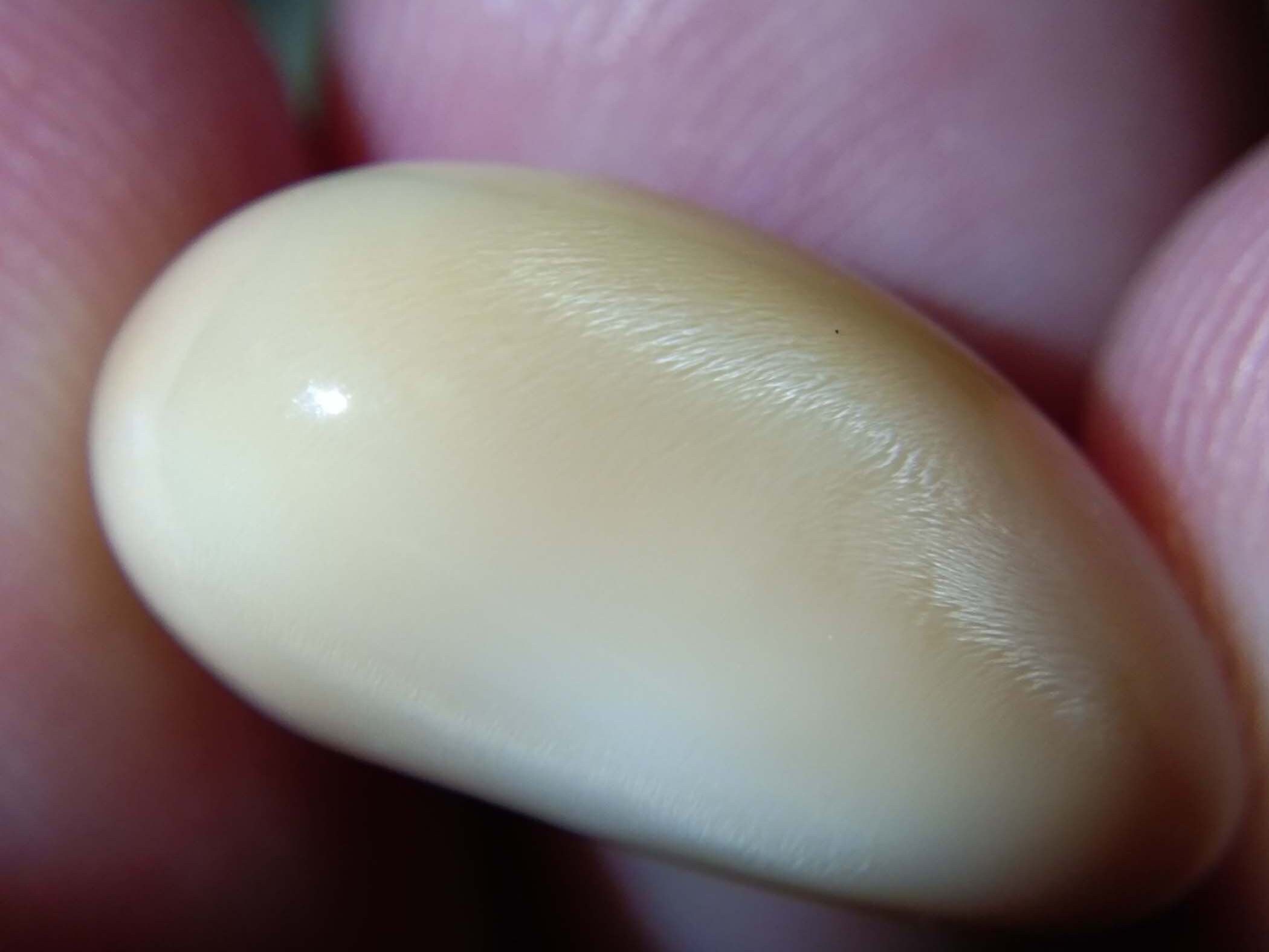 12.6ct Natural Conch Pearl With Flame Structure - Etsy