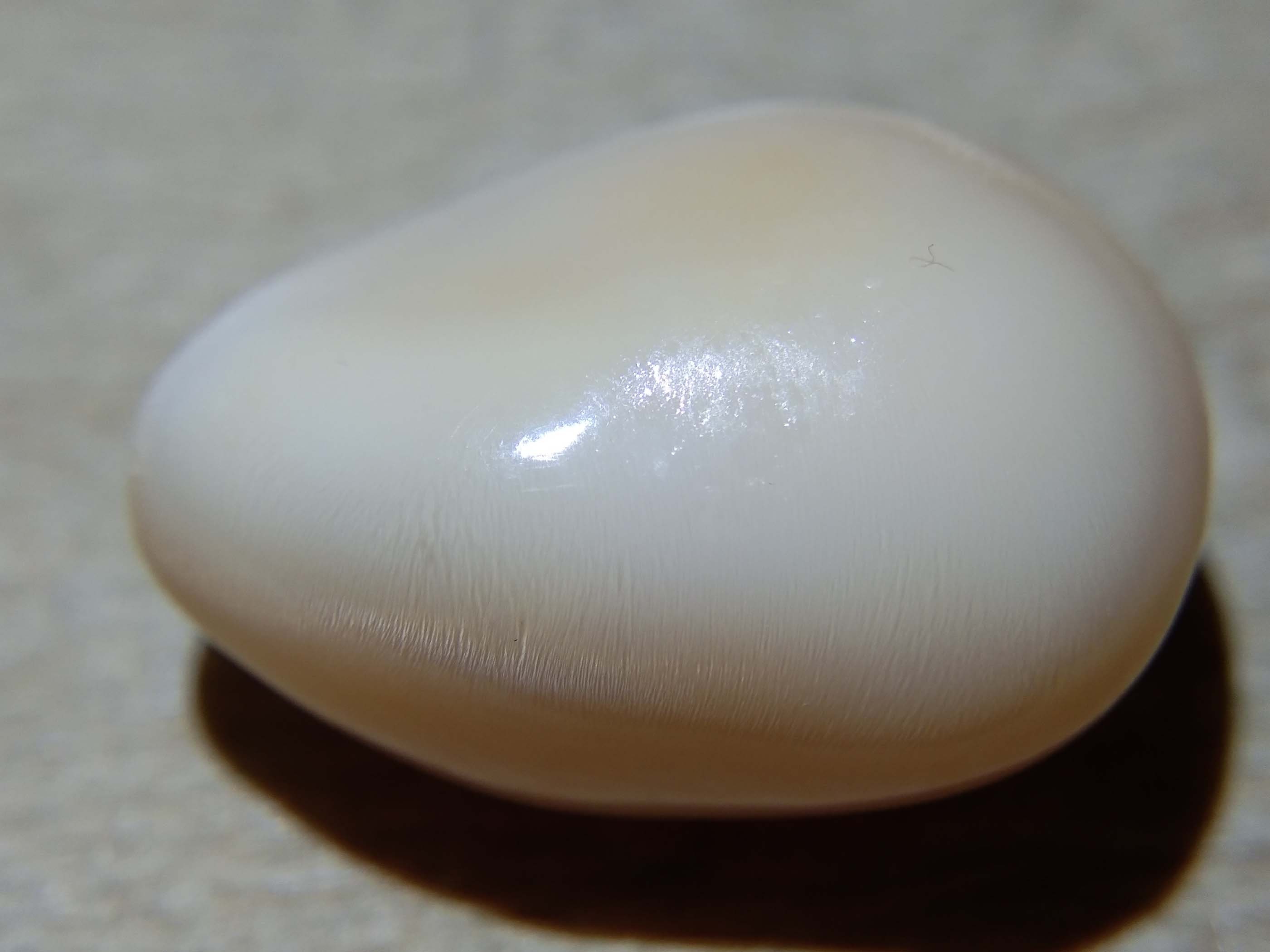 12.6ct Natural Conch Pearl With Flame Structure - Etsy