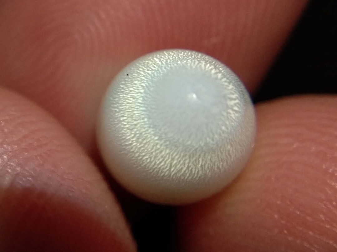 4.06ct Natural Tridacna White Clam Pearl Grade AA - Etsy