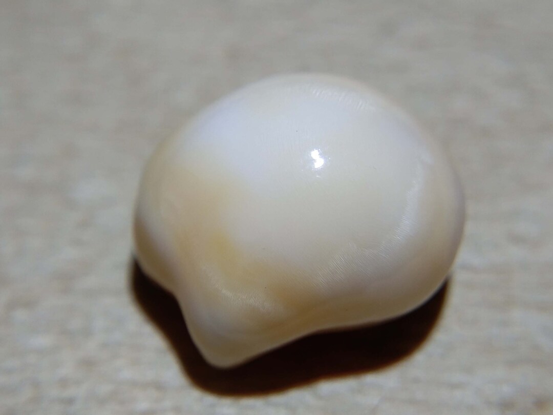 8.9ct Natural Conch Pearl With Flame Structure - Etsy