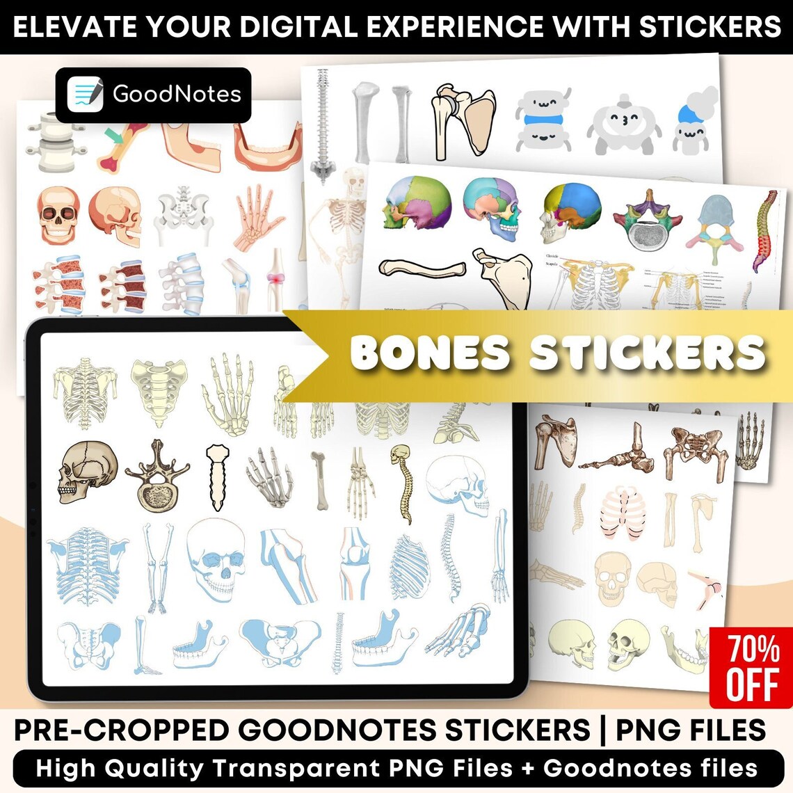 Anatomy Bones Digital Stickers: Medical Study, Goodnotes PNG (digital ...