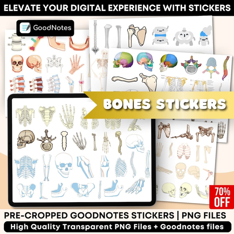 Anatomy Bones Digital Stickers: Medical Study, Goodnotes PNG (digital ...