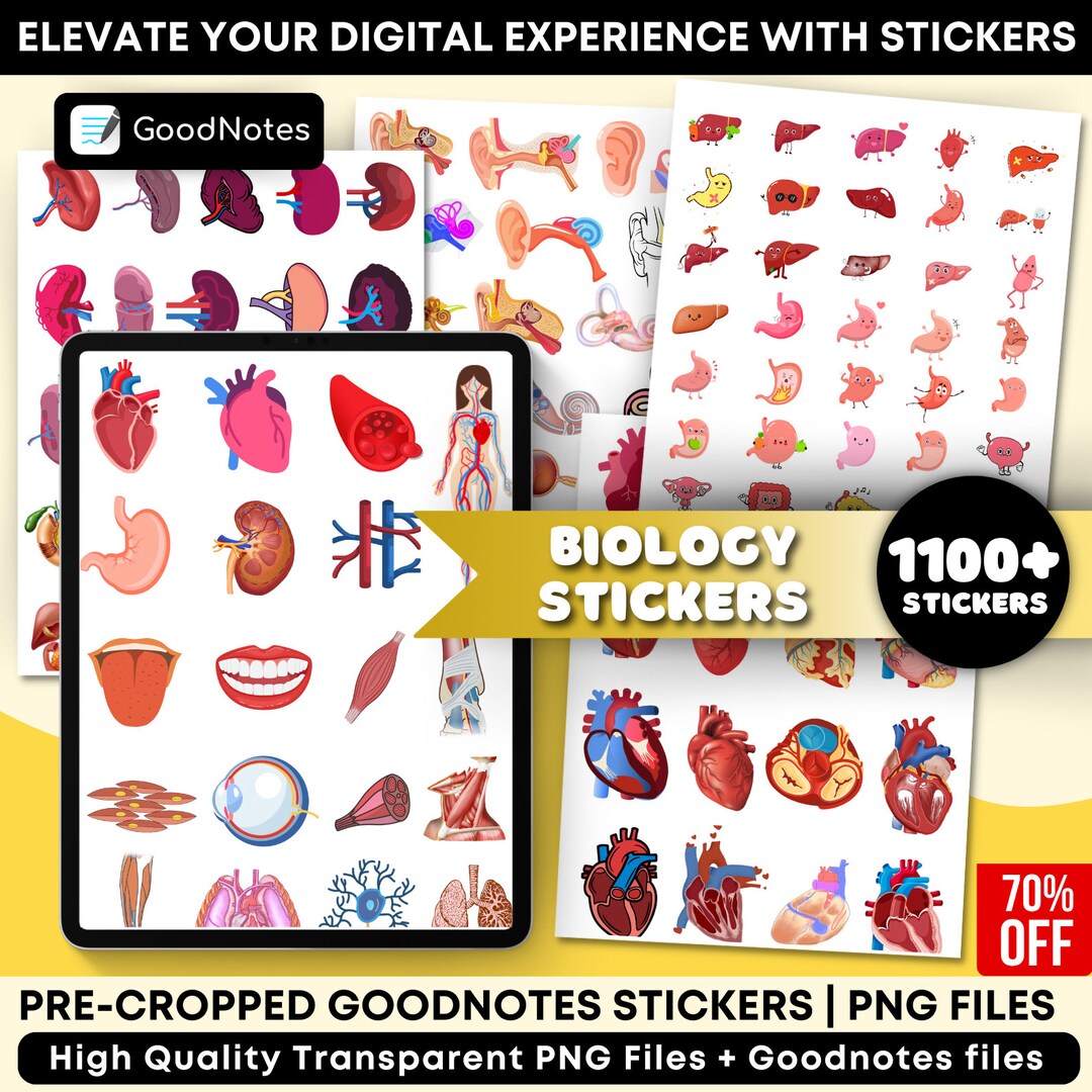 Anatomy Medical Goodnotes Stickers, Pre-cropped Human Body & Anatomy ...