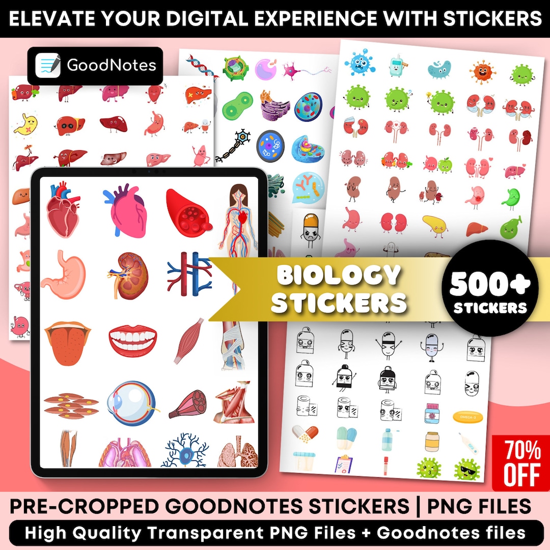Anatomy Medical Goodnotes Stickers, Pre-cropped Human Body & Anatomy ...