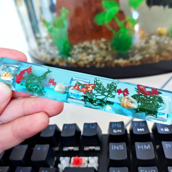 Custom Spacebar - Etsy