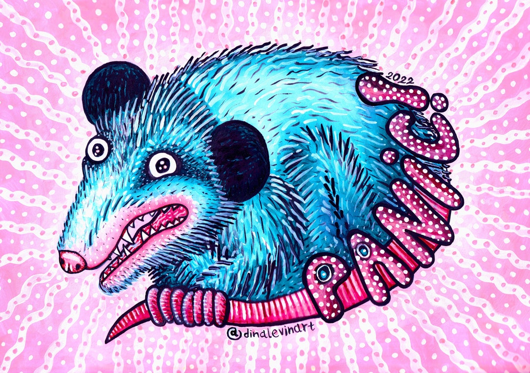 Funny Opossum, Panic Possum, Screaming Opossum, Possum Art, Opossum Art ...