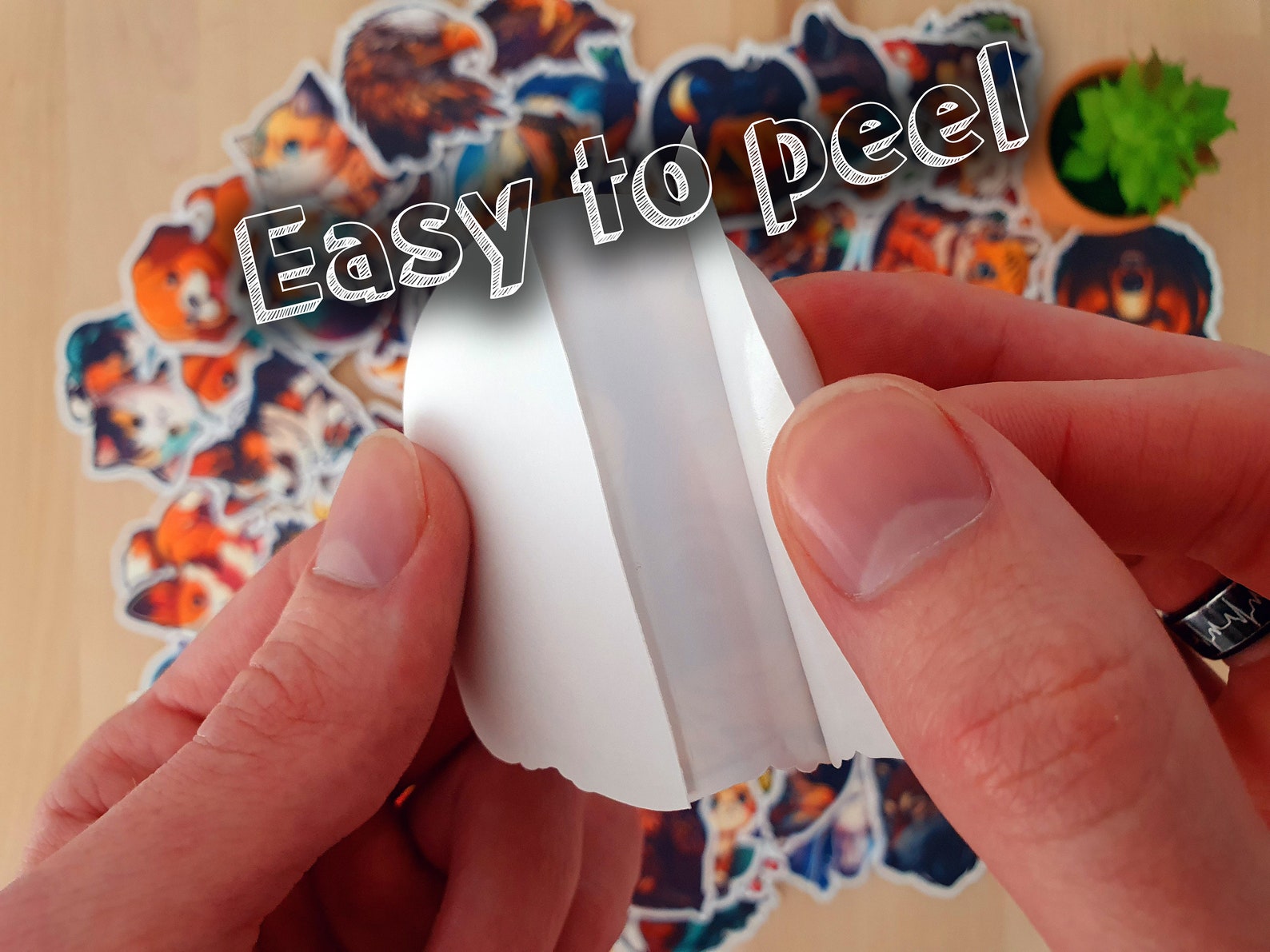 Bear Sticker Roaring Bear Sticker Animal Sticker Bear Face - Etsy