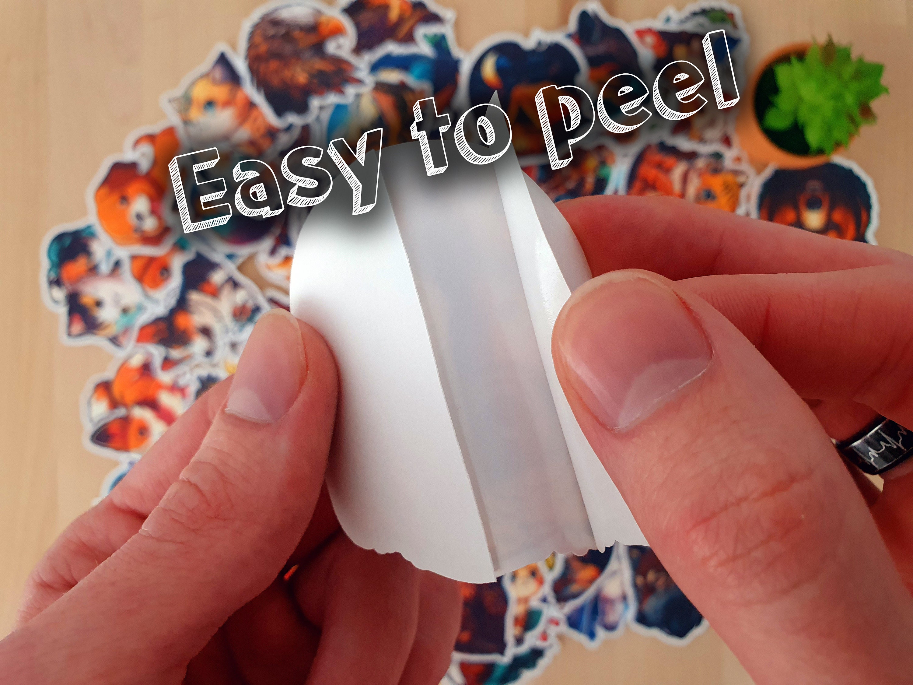 Bear Sticker Roaring Bear Sticker Animal Sticker Bear Face - Etsy