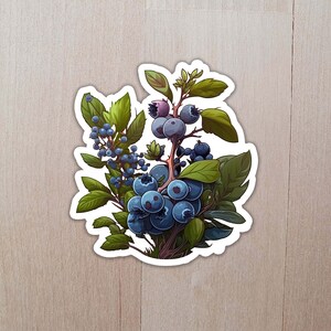 Blueberry Bush Sticker, Blueberry Sticker, Bush Sticker, Plant Sticker ...
