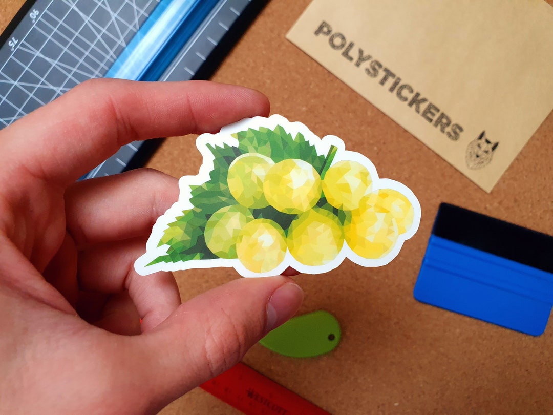 Grapes Sticker Grape Sticker Fruit Sticker Vine Sticker - Etsy