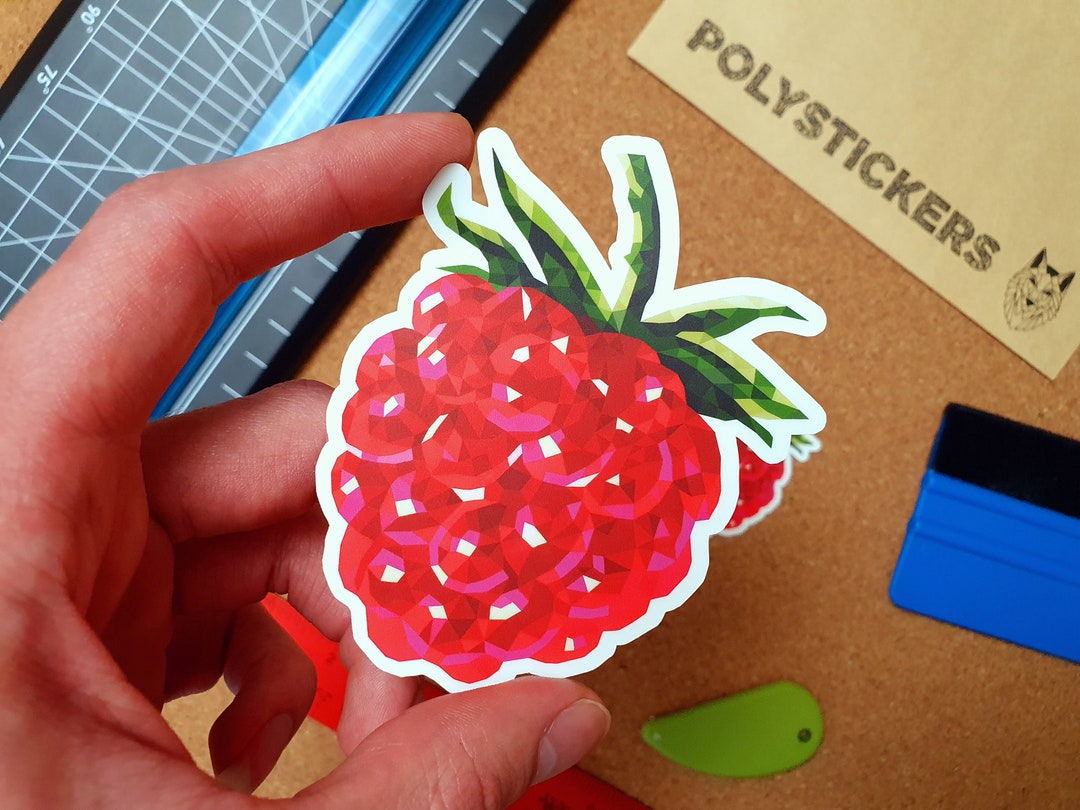 Raspberry Sticker Fruit Sticker Fruit Lover Fruit Gift - Etsy
