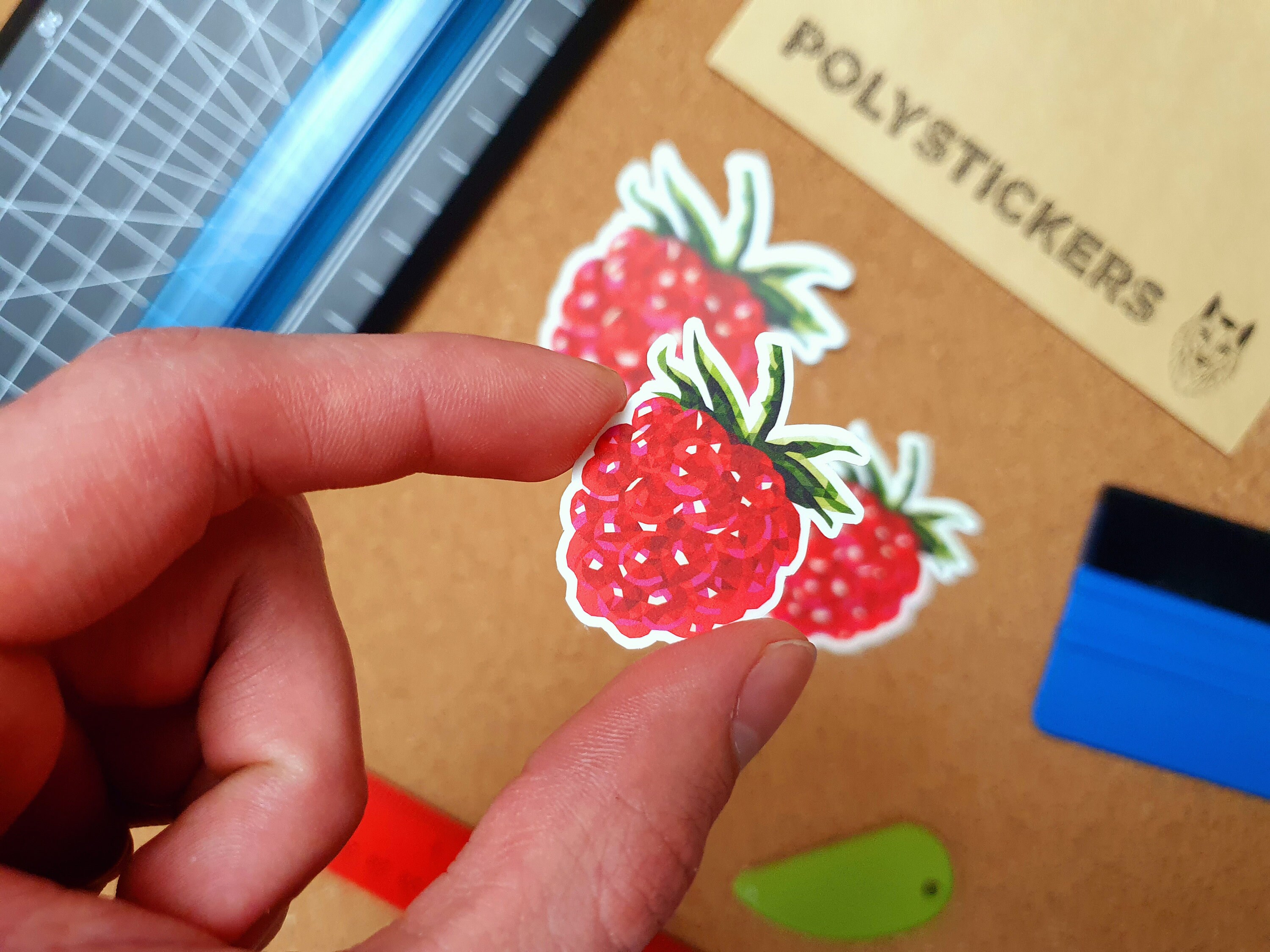Raspberry Sticker Fruit Sticker Fruit Lover Fruit Gift - Etsy UK