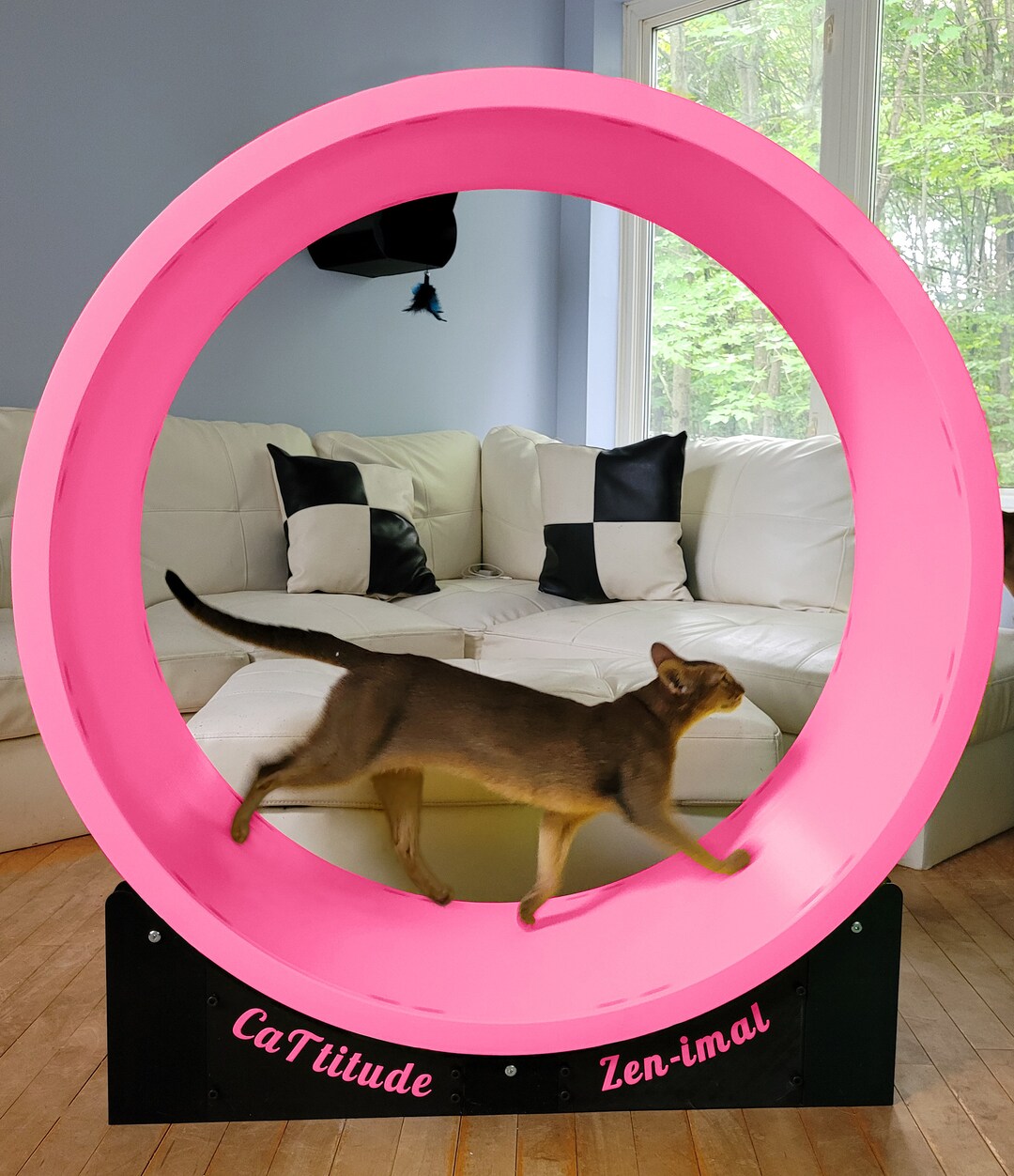 Wheel for Cats 3 Feet in Diameter - Etsy