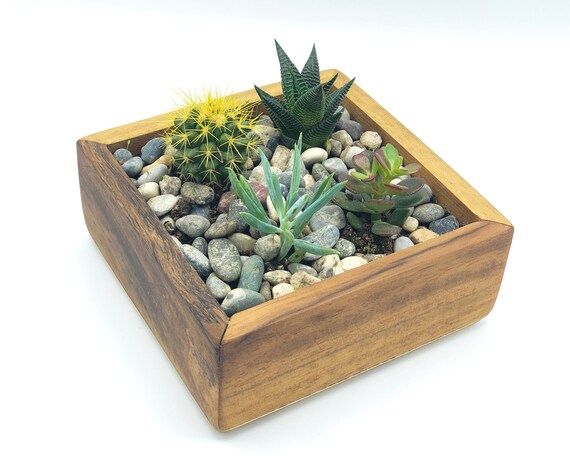 Rustic Wood Succulent Planter Box Succulent Pot Wooden | Etsy