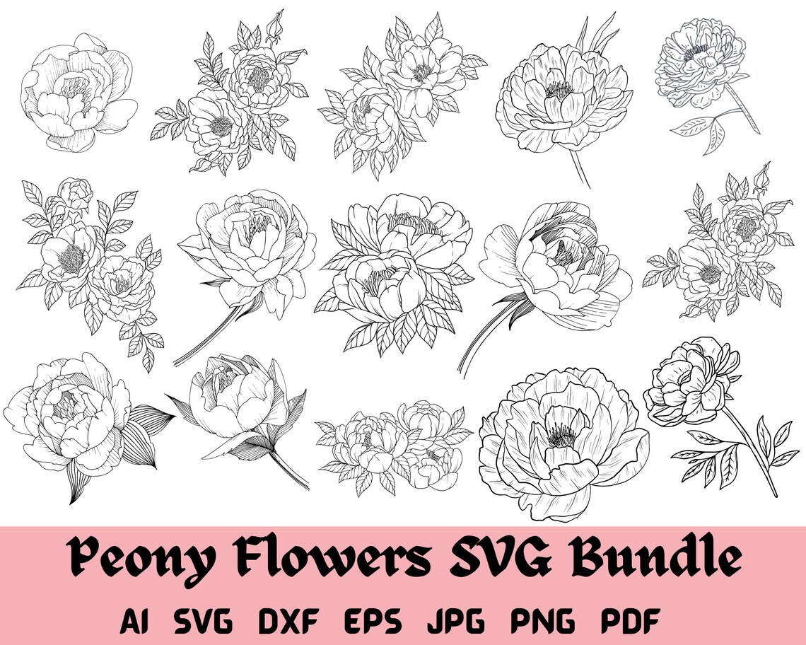 Peony Svg Bundle, Peony Svg, Peony Clipart, Wedding Peony Svg, Floral ...