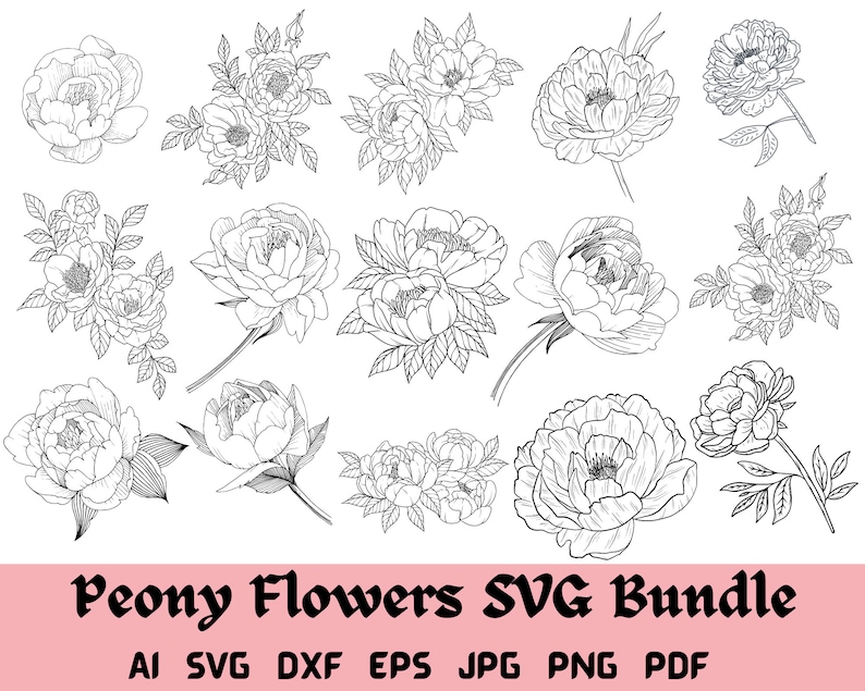 Peony Svg Bundle, Peony Svg, Peony Clipart, Wedding Peony Svg, Floral ...