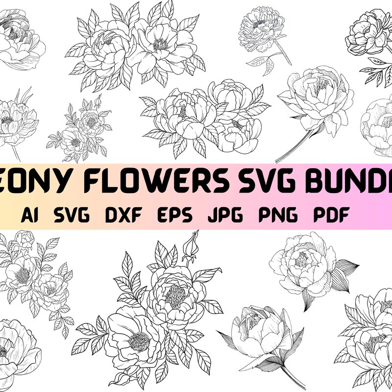 Peony Svg - Etsy