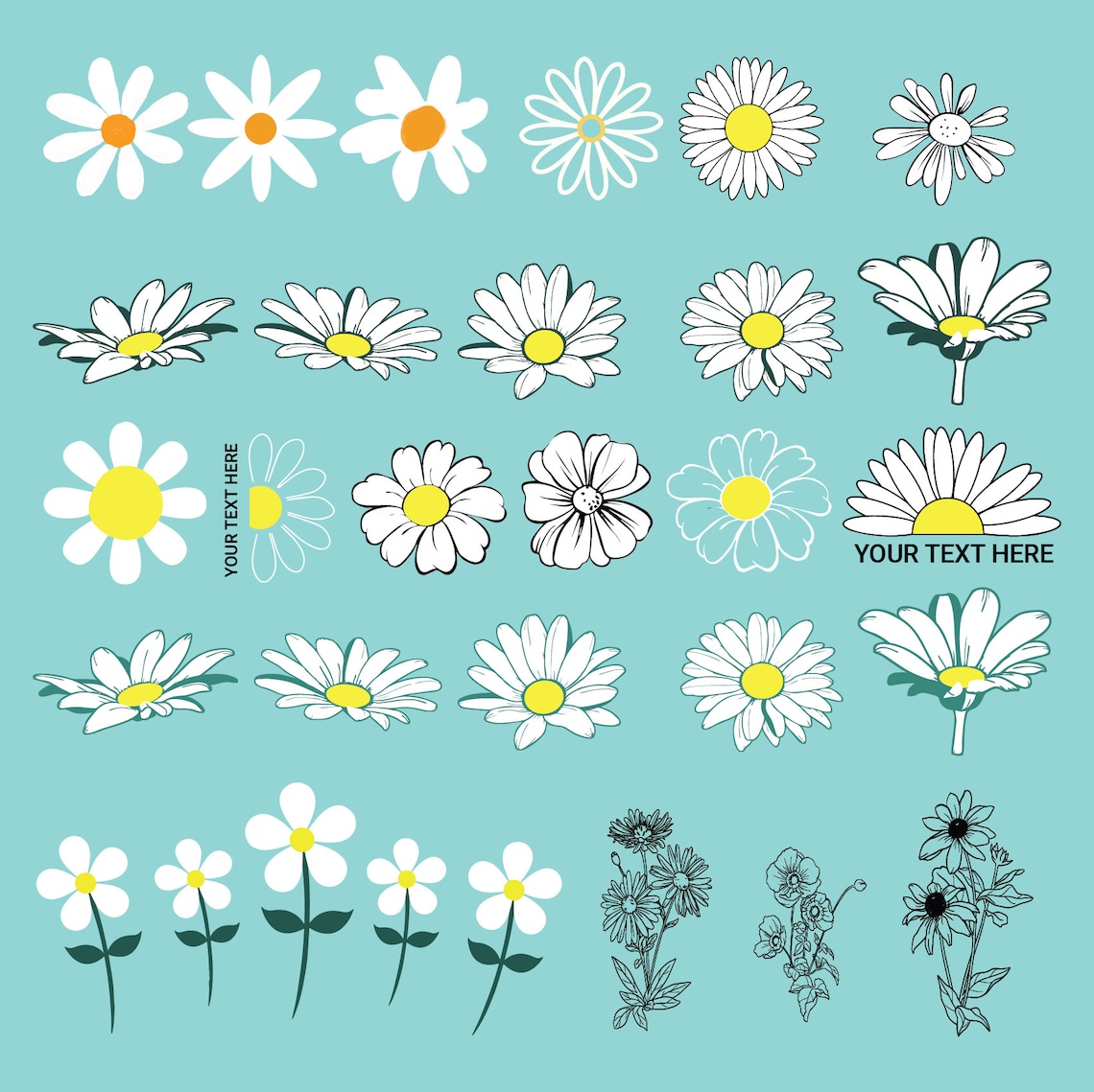 Daisy Flower Svg, Daisy Svg, Daisy Svg Bundle, Daisy Flower Clipart ...