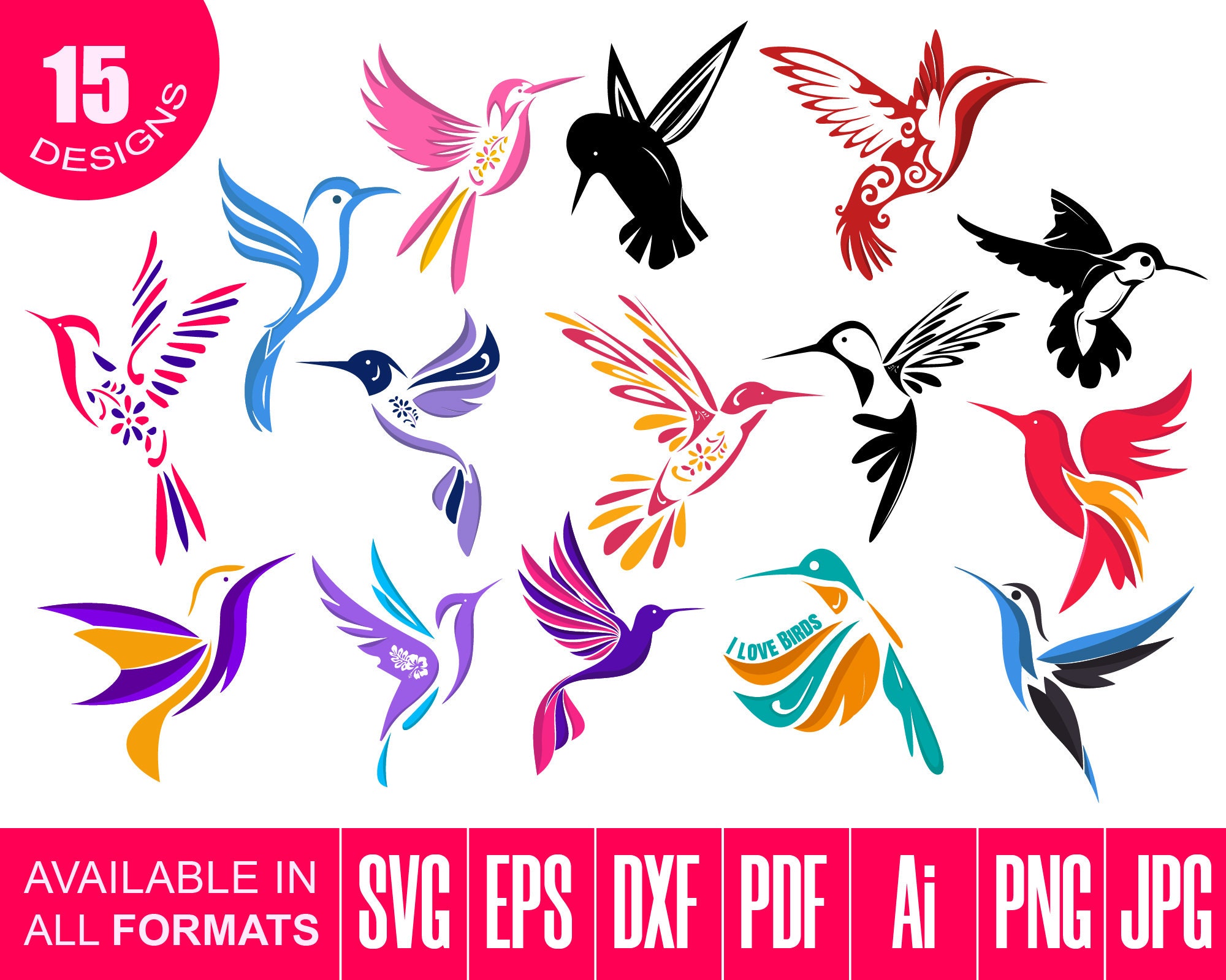 Colibrí svg Pájaro svg Naturaleza SVG Colibrí svg bundle - Etsy México