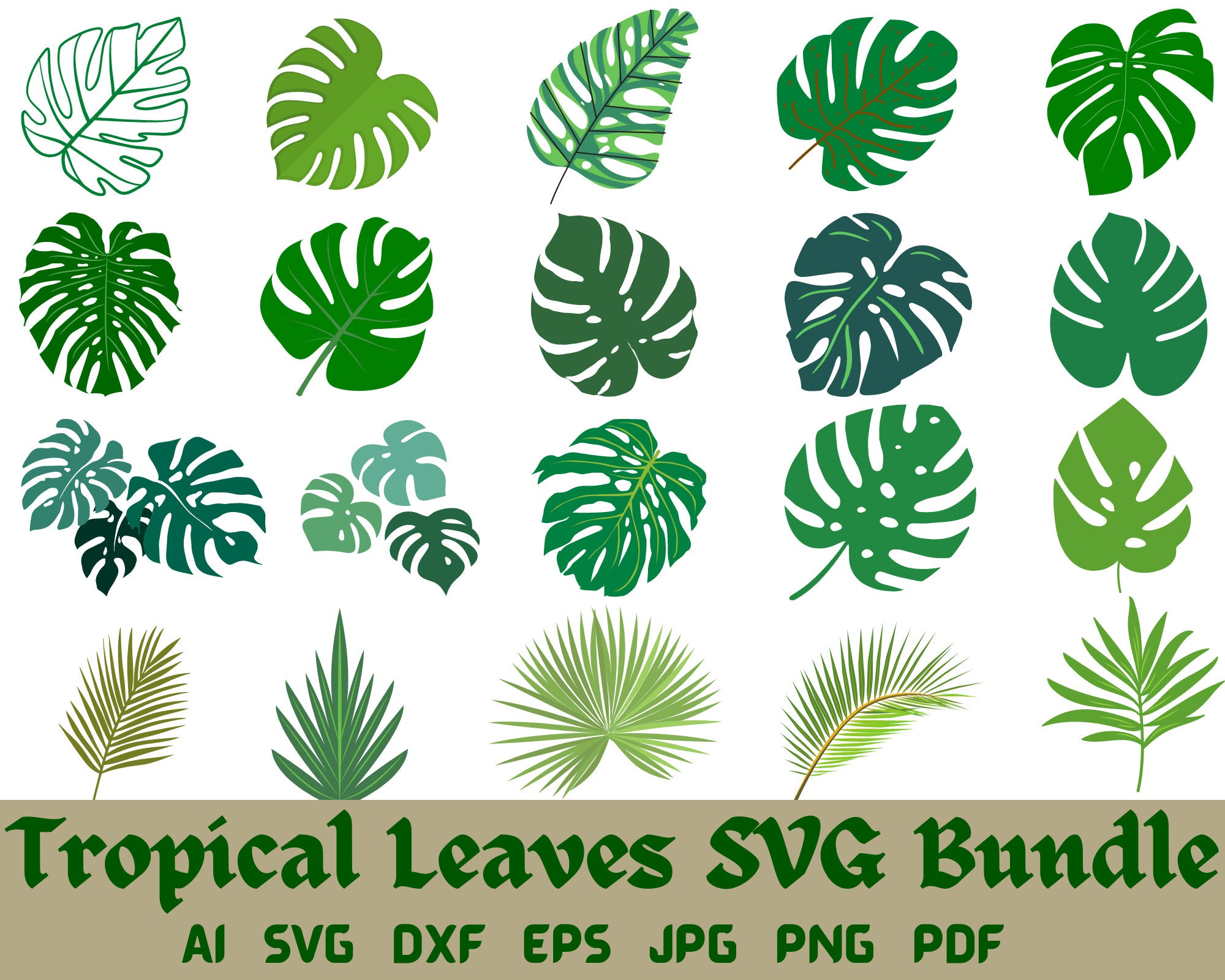 Tropical Leaves Svg, Monstera Leaf Svg, Palm Leaf Svg, Tropical Leaf ...