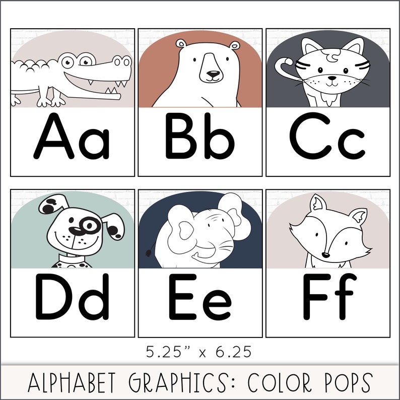 Boho Classroom Word Wall Editable Sight Word Cards Boho - Etsy