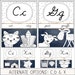 Cursive Alphabet Posters With Graphics Boho Plants Classroom Decor ...