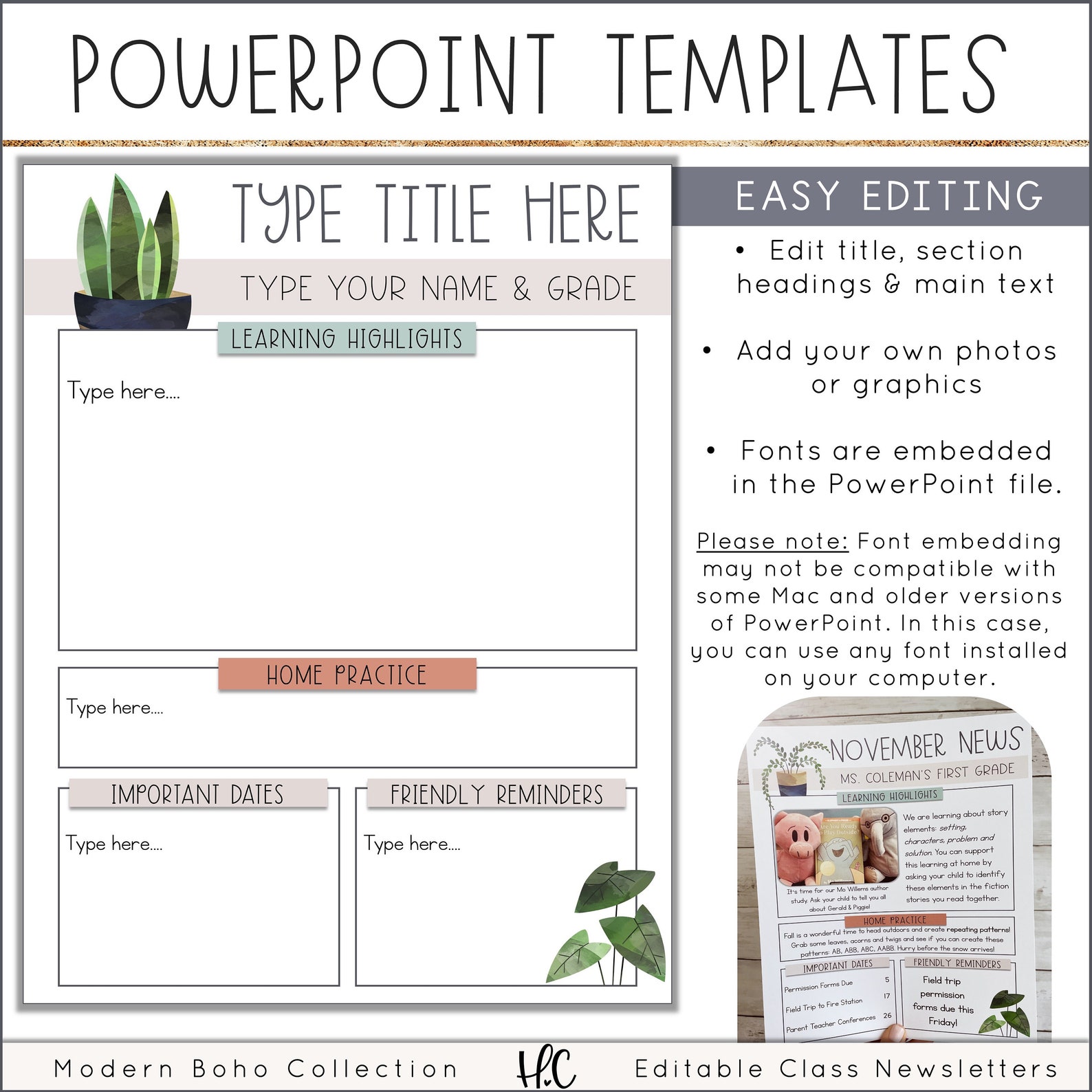 Classroom Newsletters | Boho Plants Classroom Decor | Editable ...