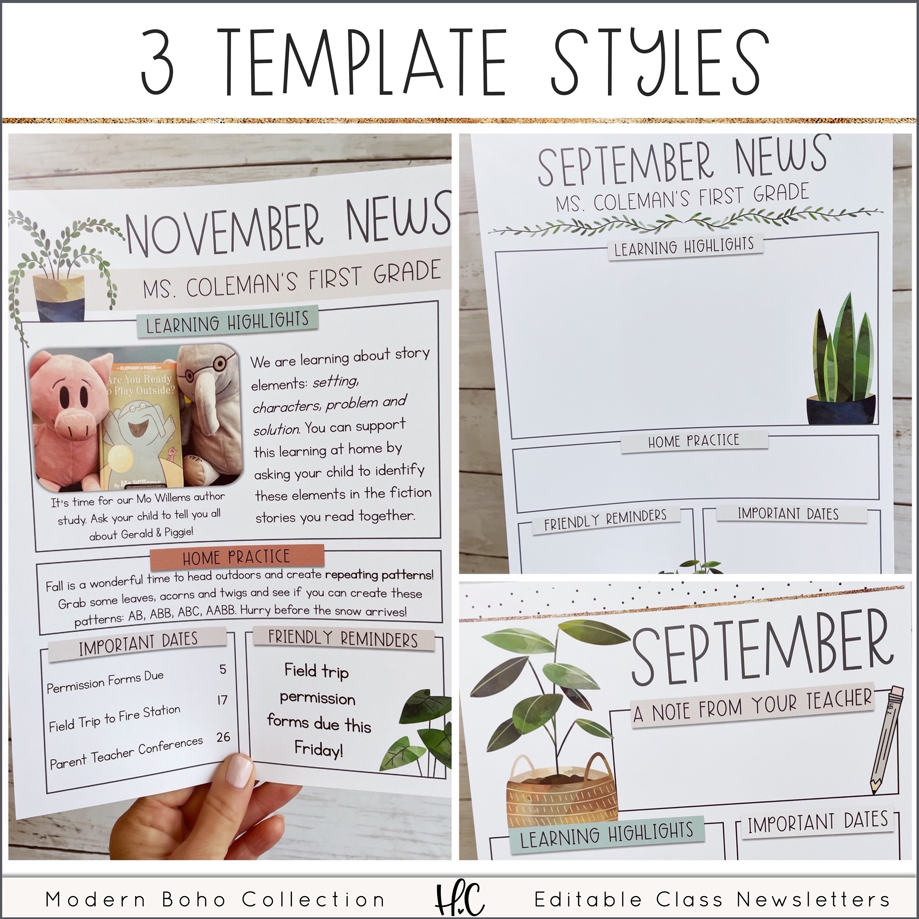 Classroom Newsletters | Boho Plants Classroom Decor | Editable ...