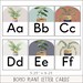 Boho Classroom Word Wall | Editable Sight Word Cards | Boho Plants ...