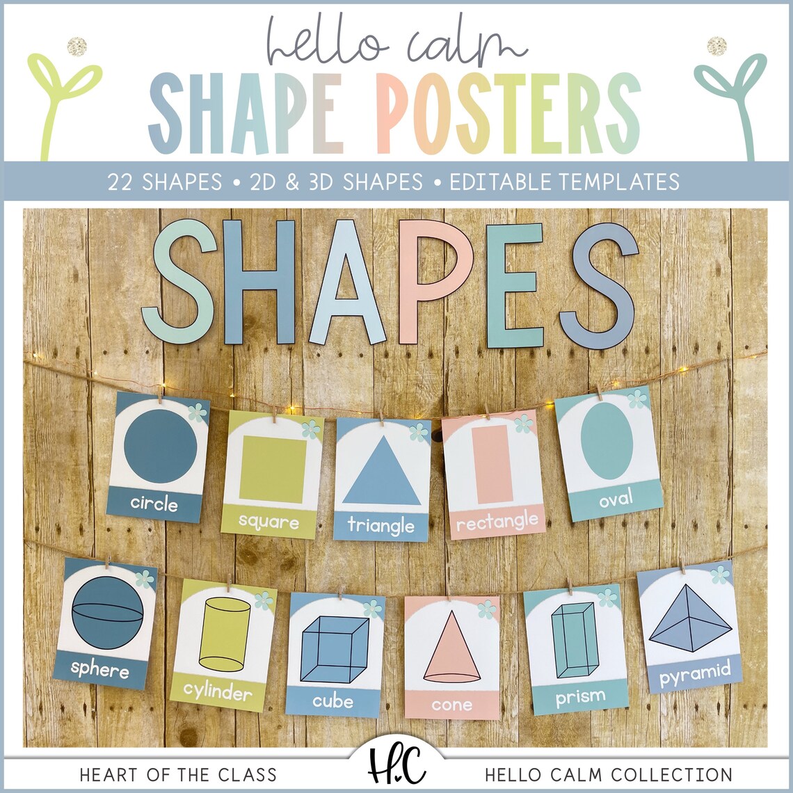 2D and 3D Shape Posters for Classroom and Homeschool With Editable Text ...