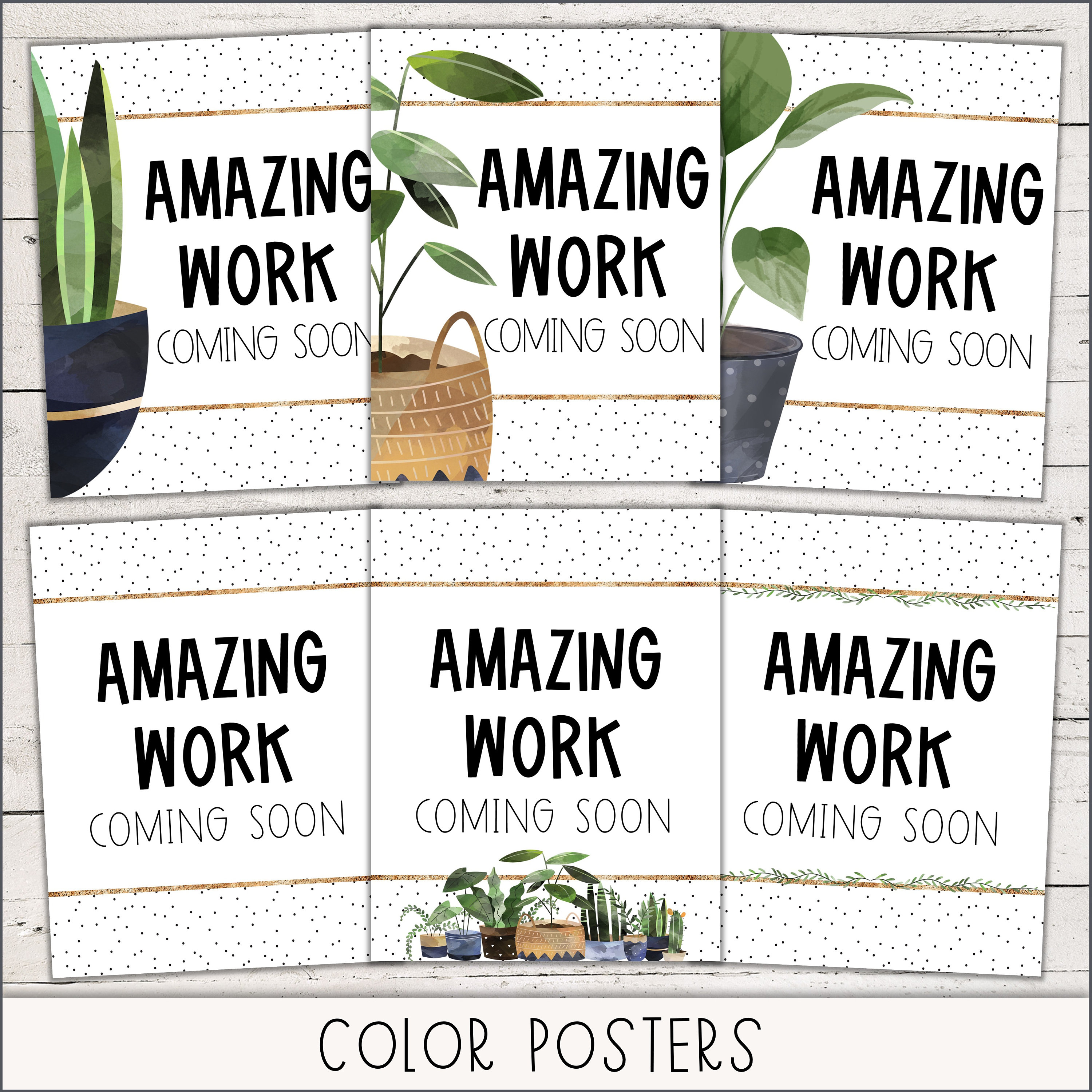 Modern Boho Plants Classroom Bulletin Board: Amazing Work Display ...