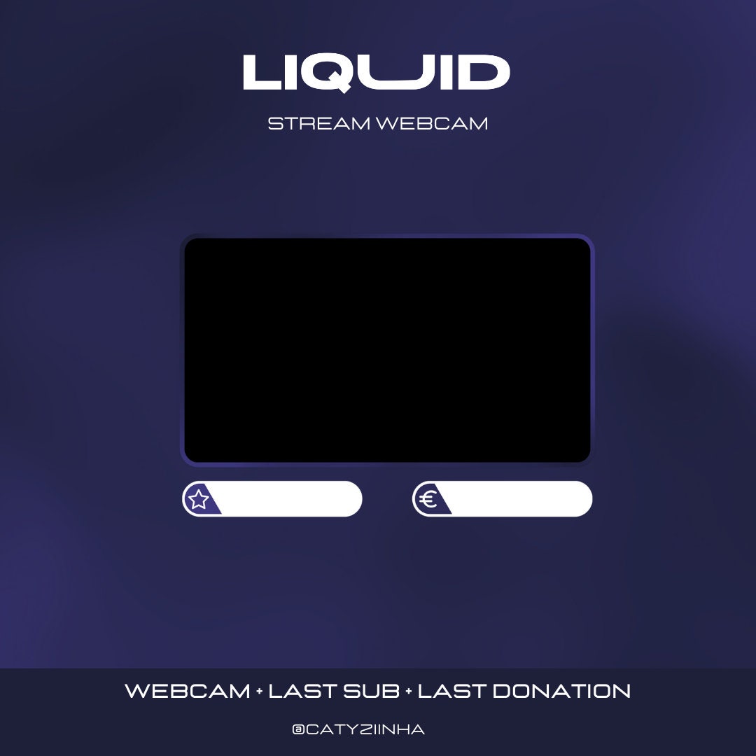 LIQUID Animated Stream Overlay Package for Twitch Aesthetic - Etsy